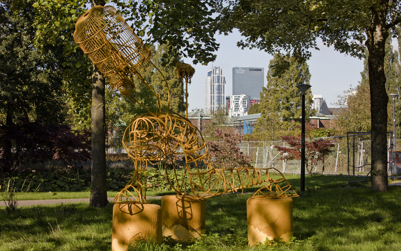 Chassis Flight or Fight - BKOR